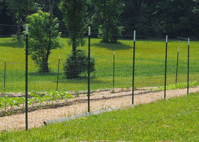 T Post Puller: A Basic Guide to T-Post Fence Pulling - Construction ...